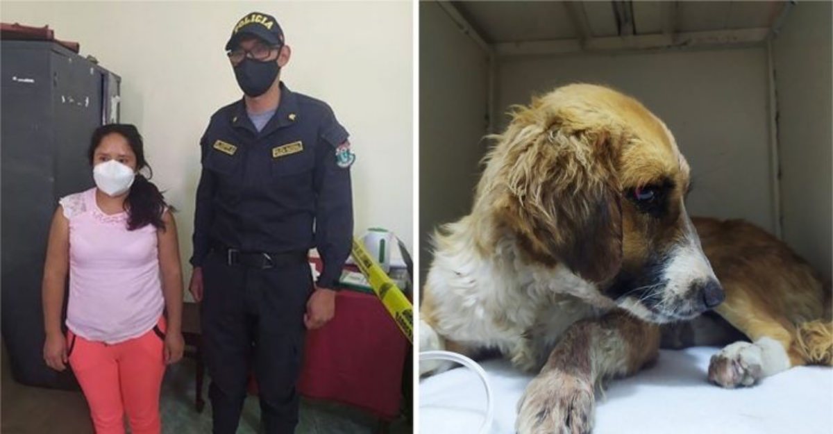 Mujer Es Detenida Por Golpear A Su Perro Con Un Ladrillo Cuando Este Le